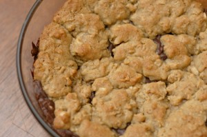 chocolate oatmeal almost-candy bars